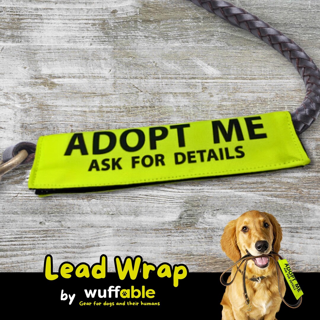 Adopt Me Dog Leash Wrap: Neon Yellow, Hook & Loop Closure - Etsy UK
