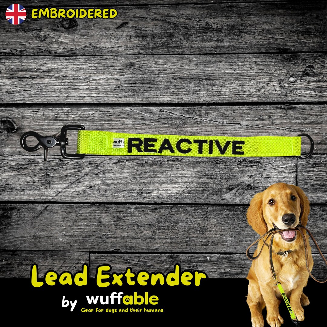 REACTIVE Dog Lead Extender | Bright Visibility Strap With Black ...