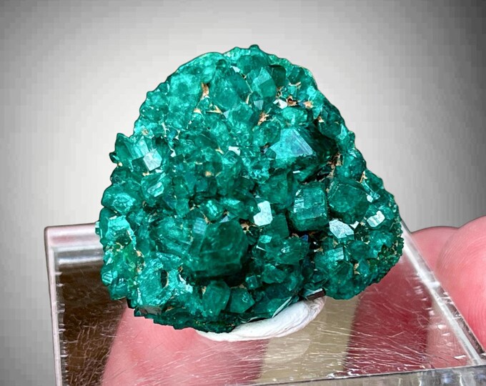Emerald Green Dioptase Mimetite Cluster Congo Africa Fine Mineral ...