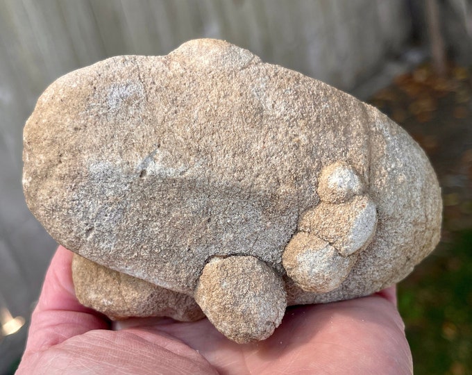 HUGE Sand Calcite Crystal, Sand Rock, Rattlesnake Butte, South Dakota ...