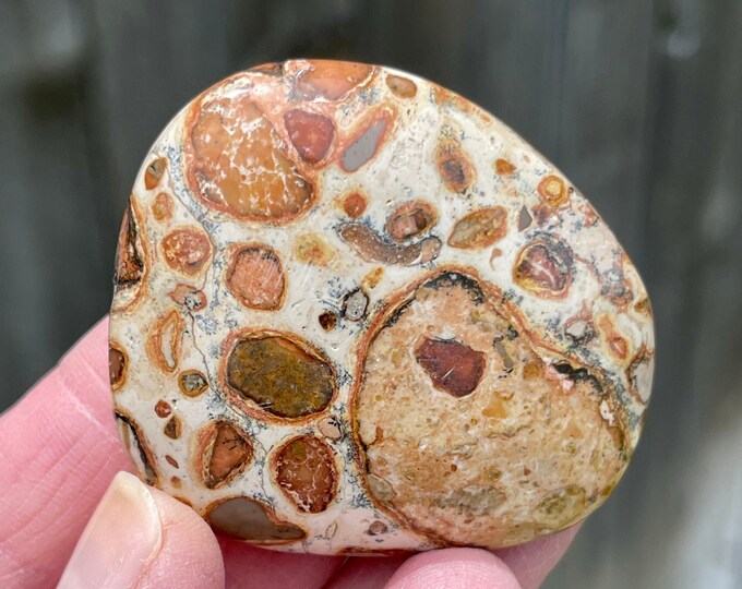Leopardskin Rhyolite or Leopardite Palm Stone // Polished Freeform ...