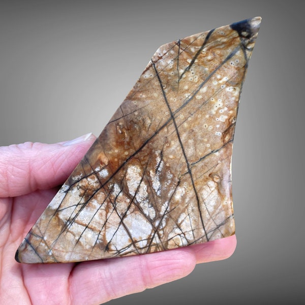 Utah Picasso Stone - Etsy