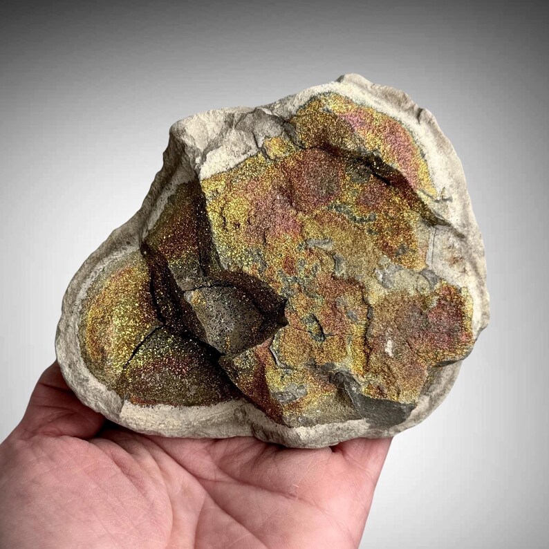 Rainbow Pyrite Septarian Nodule Concretion From Russia - Etsy