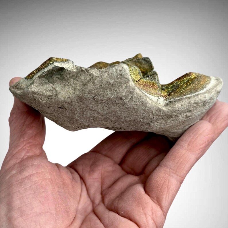 Rainbow Pyrite Septarian Nodule Concretion From Russia - Etsy
