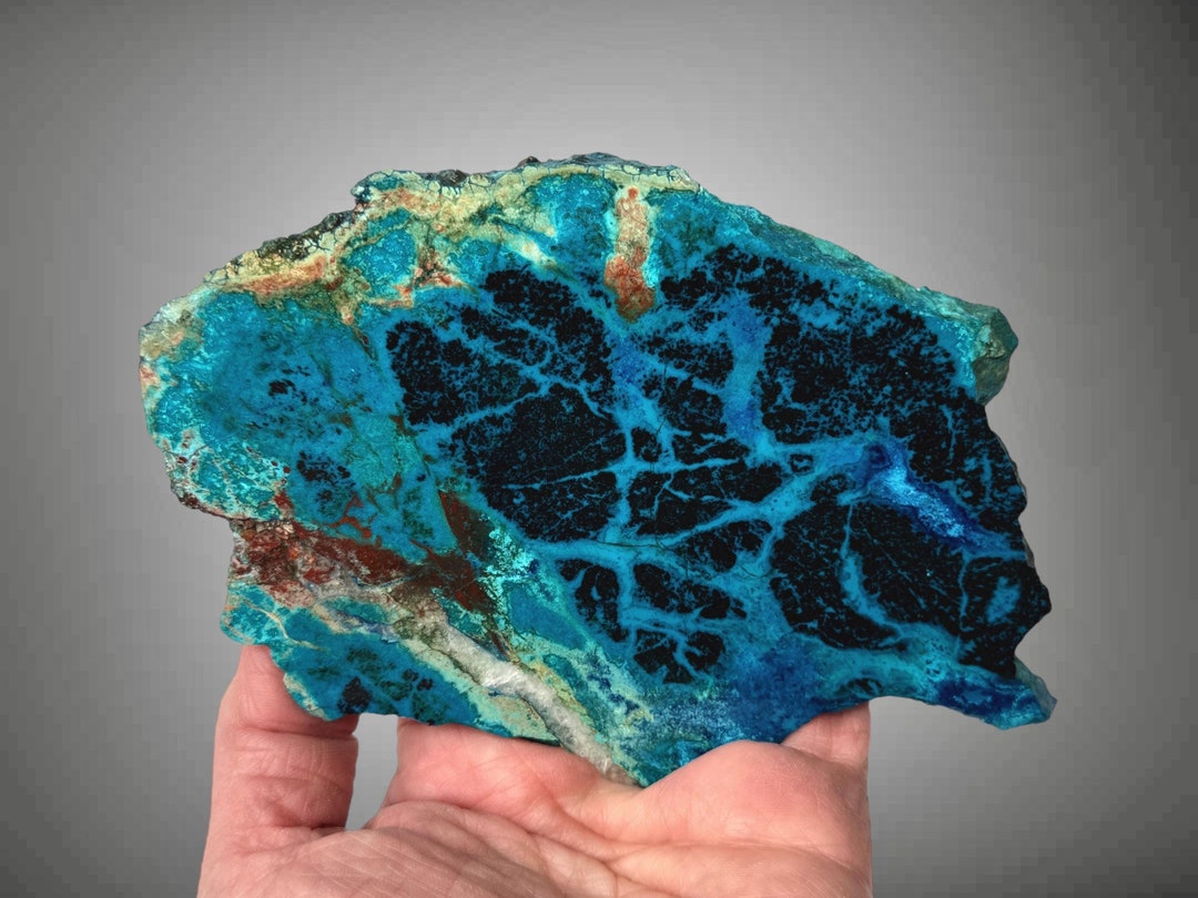Shattuckite Chrysocolla Collector Slice Slab High Shine Milpillas ...