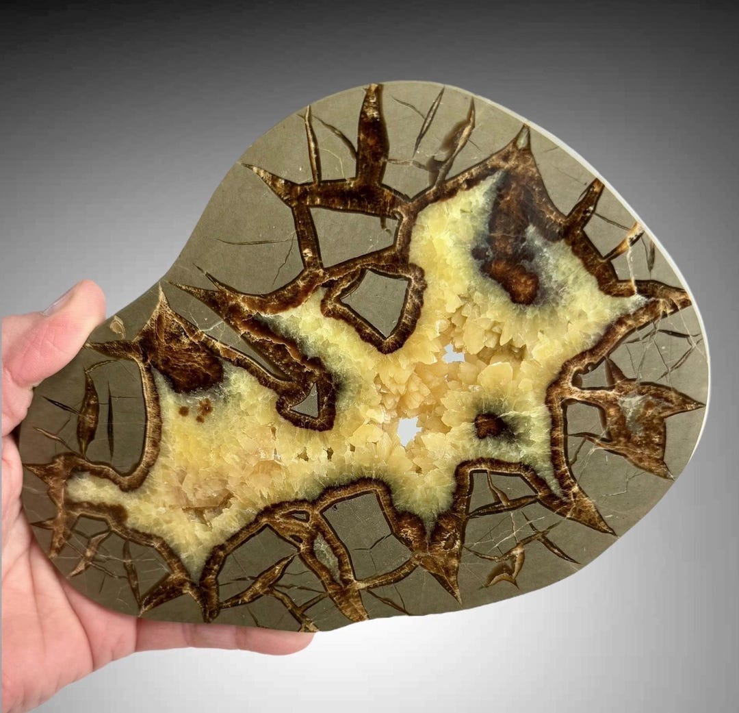 Septarian Nodule Slice Slab, Utah Rocks, Minerals and Crystals ...