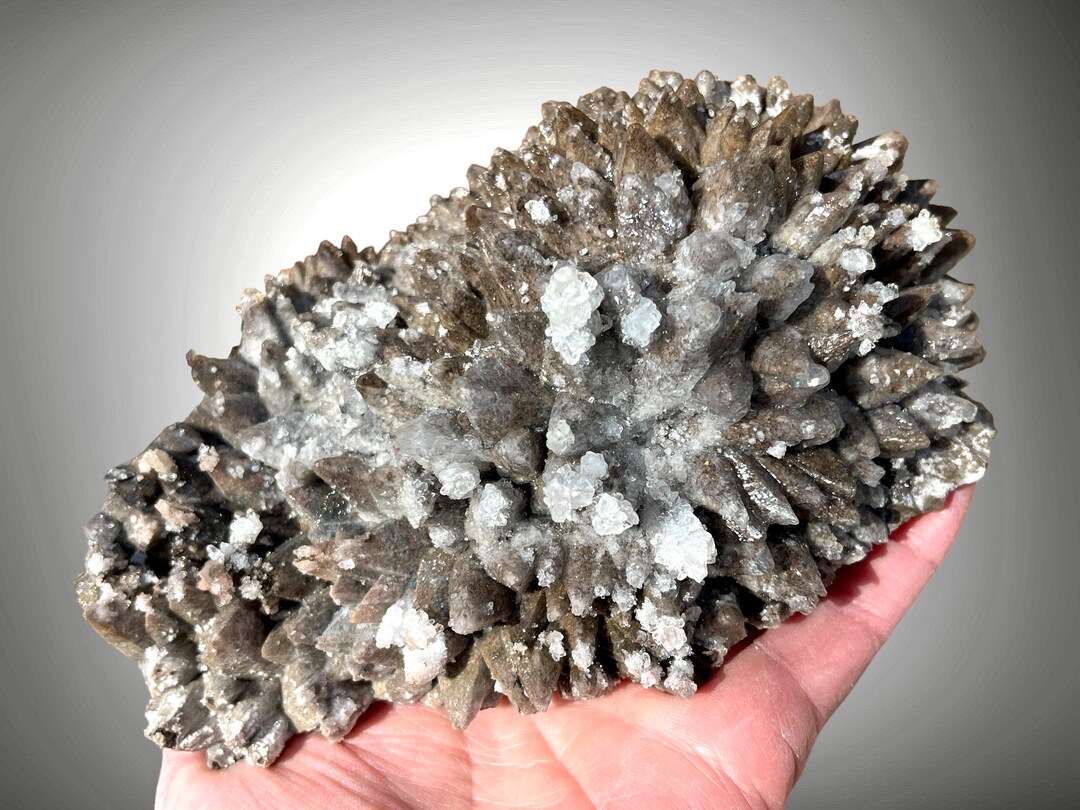 Dogtooth Calcite Crystal Cluster Rocks Minerals Crystals Mexico - Etsy