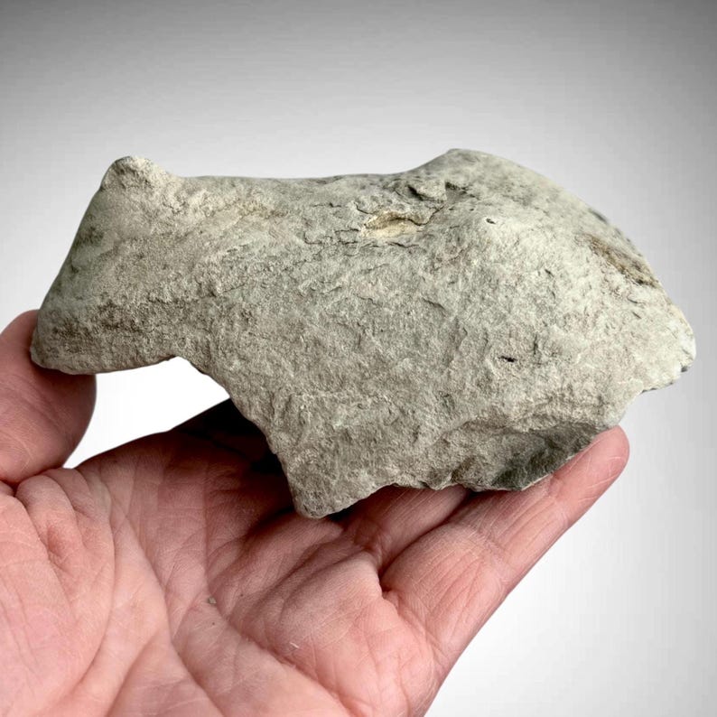 Rainbow Pyrite Septarian Nodule Concretion From Russia - Etsy