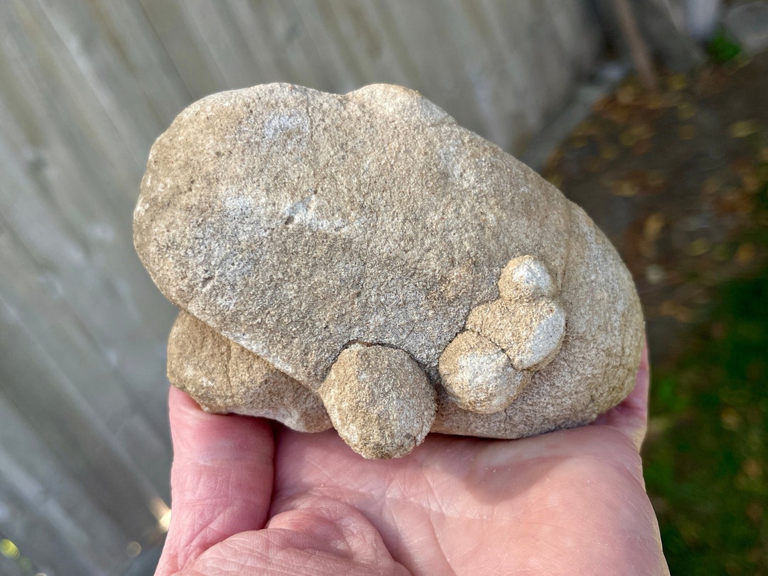 HUGE Sand Calcite Crystal, Sand Rock, Rattlesnake Butte, South Dakota ...