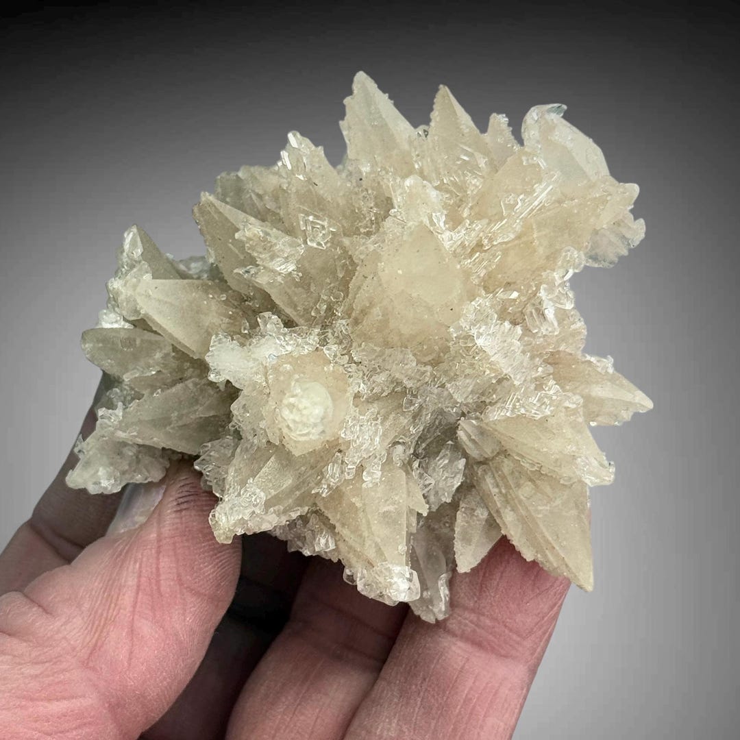Dogtooth Calcite Rosette Cluster From Mexico - Etsy