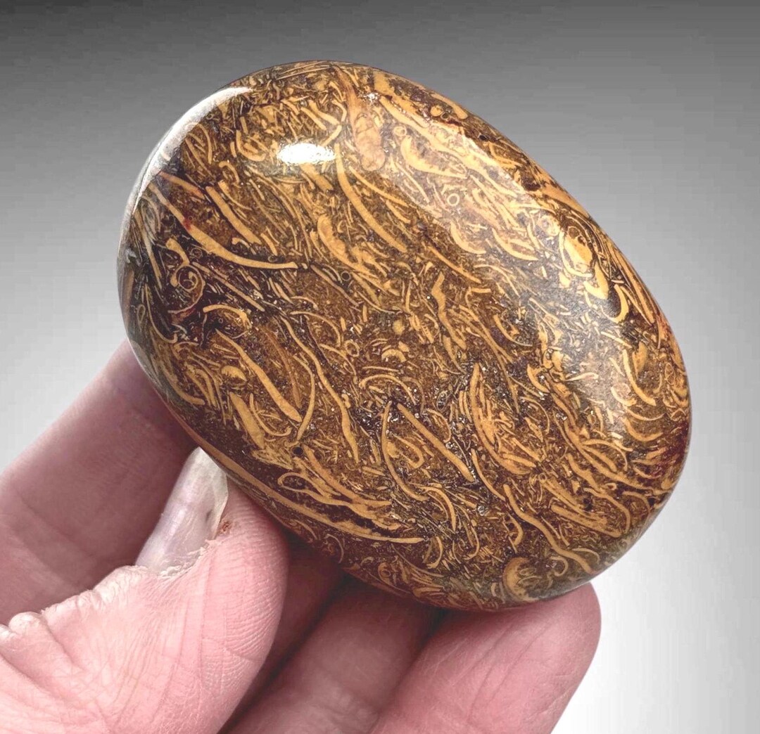 Calligraphy Stone, Miriam Jasper, Script Stone Jasper, Rocks and ...