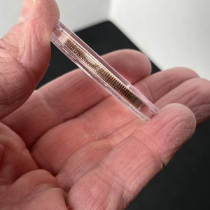 Triceratops Copper 1oz. Collector Coin Stocking Stuffer Holiday Gift ...