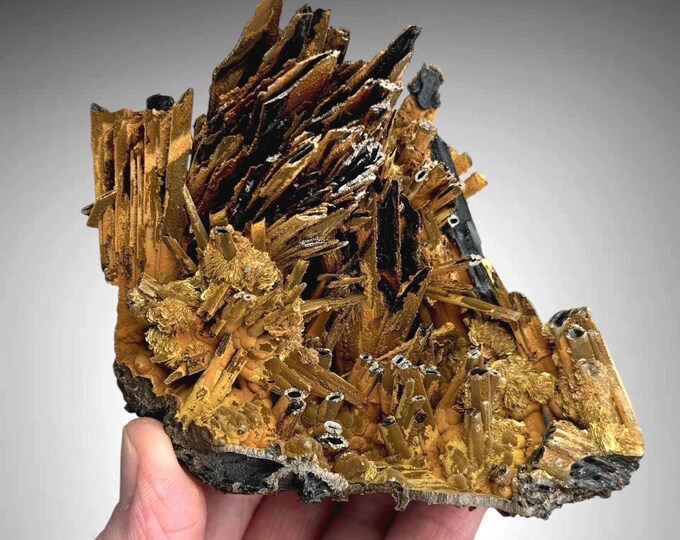 Goethite Pseudomorph After Selenite: Chihuahua, Mexico Fine Minerals - Etsy
