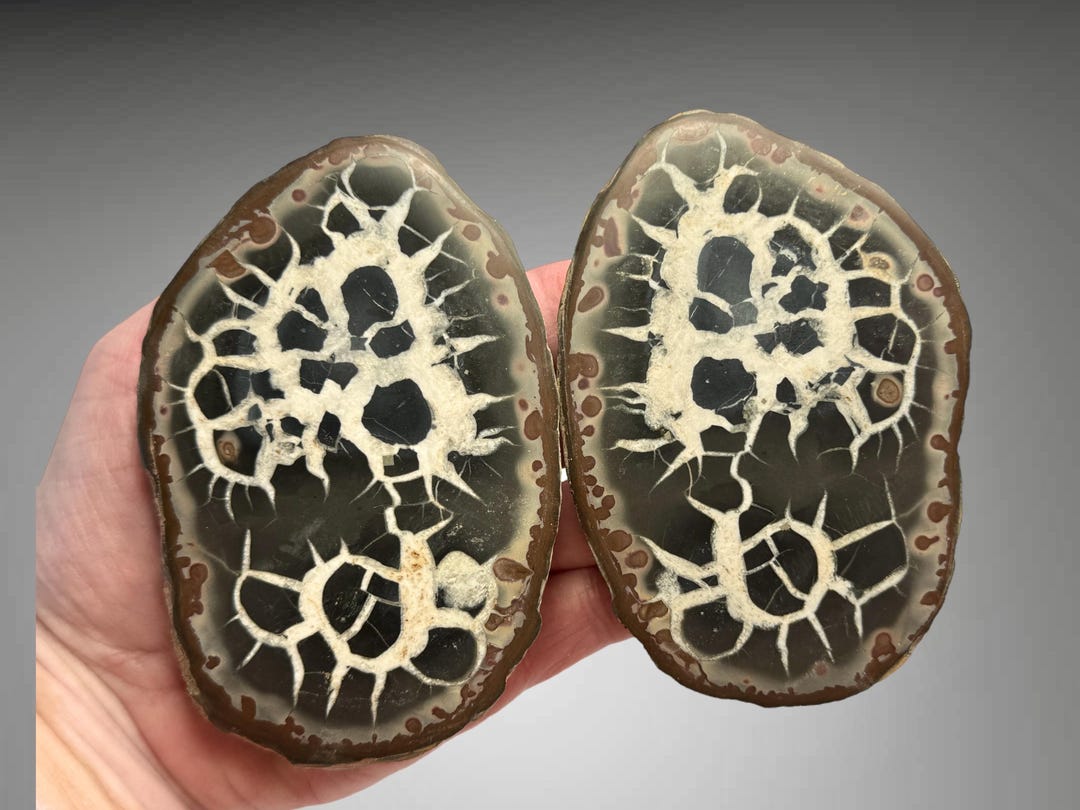 Septarian Nodule Large Pair, Moroccan Septarian Clay Concretion Rocks ...