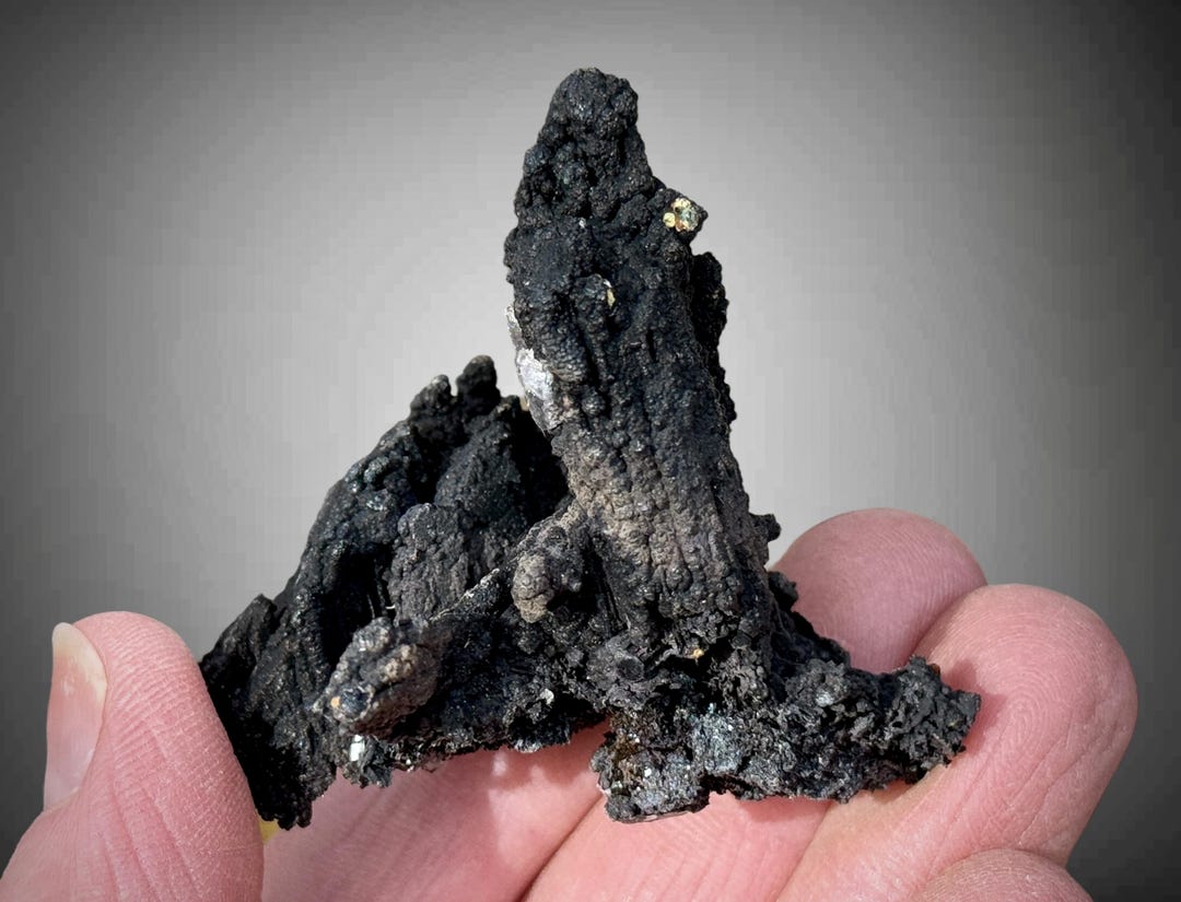Goethite Pseudomorph Epimorph Cast After Selenite Chihuahua, Mexico ...
