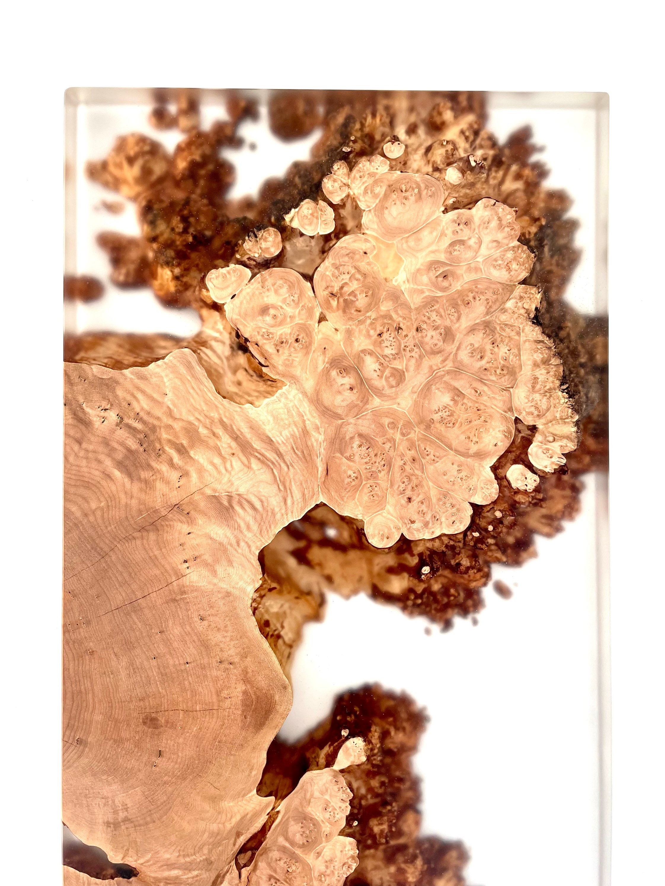 Big Leaf Maple Resin River Art Live Edge Epoxy Art Wall - Etsy