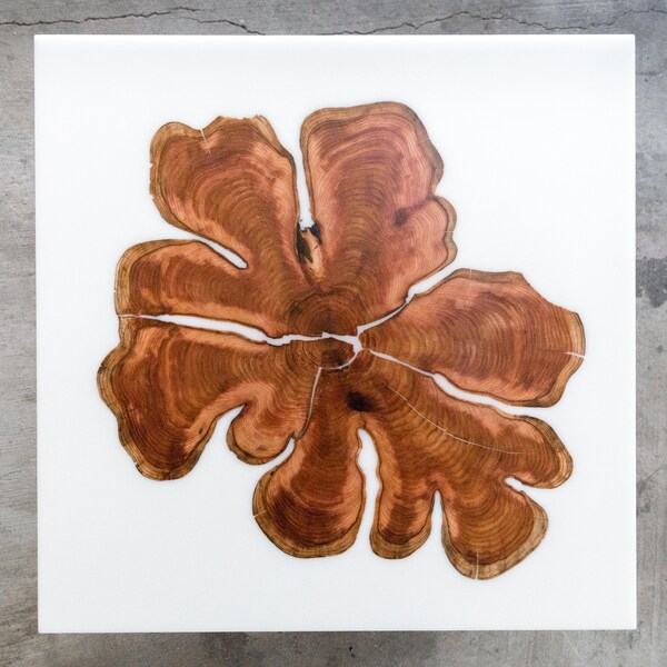 Cedar Epoxy Table - Etsy
