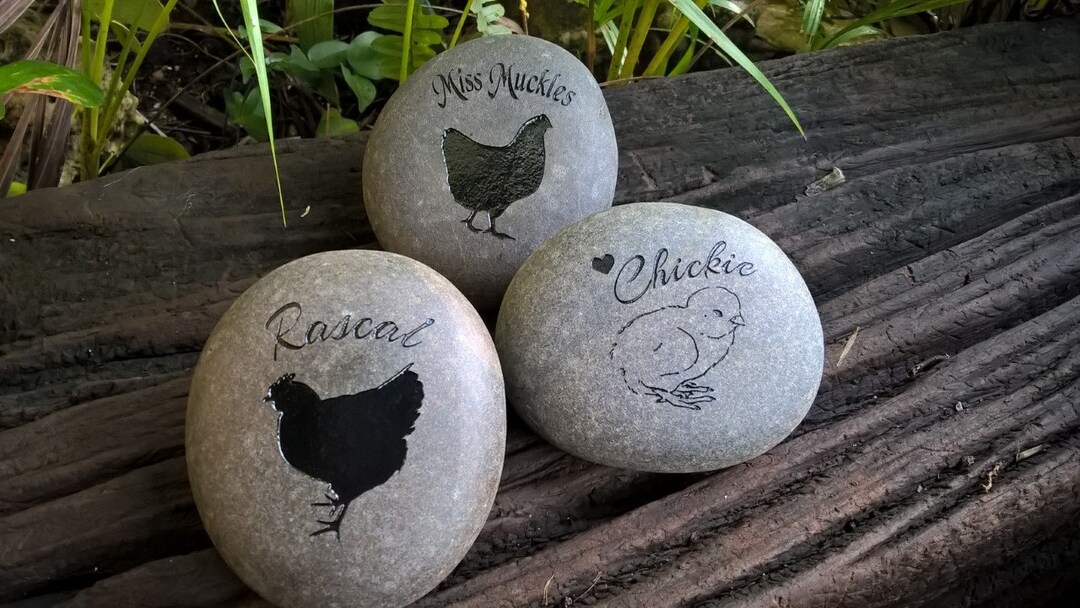 Personalized Chicken Memorial Stone: Hand-engraved Natural Remembrance ...