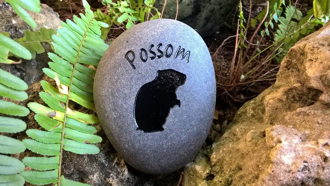 Personalized Hamster / Degu Memorial Stone: Hand-engraved Pet Loss ...