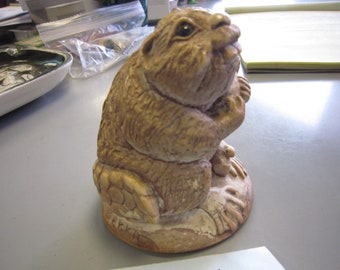 Mt St Helens Ash (500+ Items) | Etsy