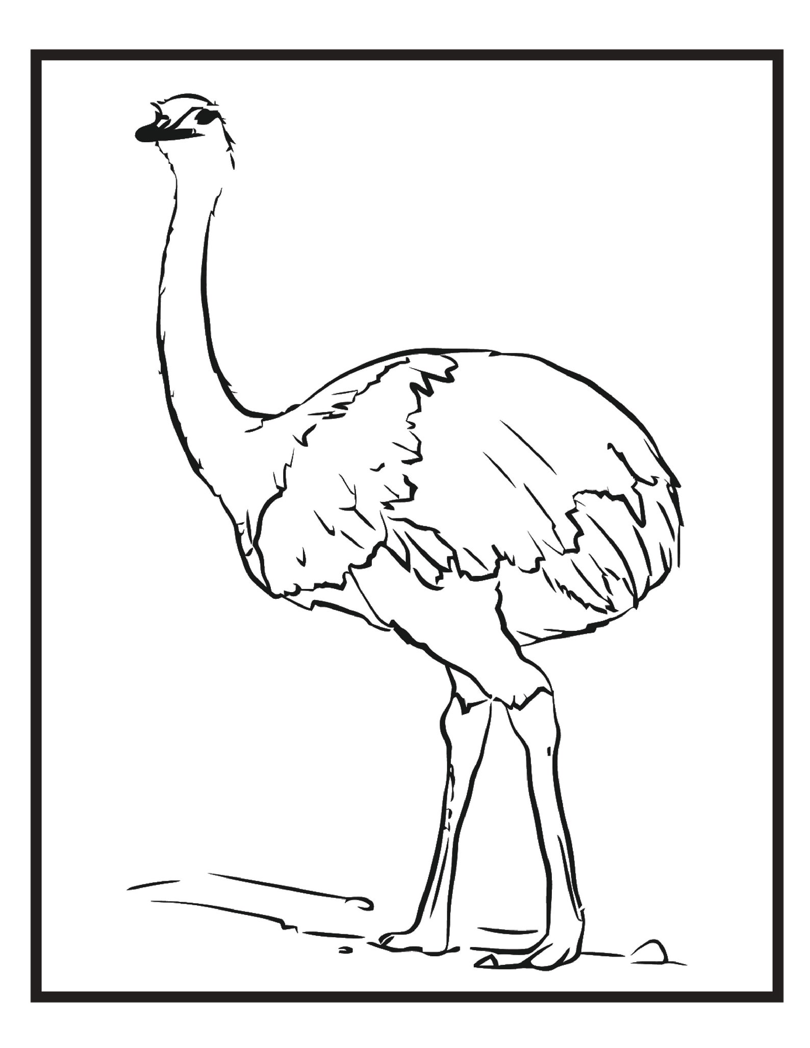 20 Zoo Animal Themed Coloring Pages - Digital Download - Etsy Canada