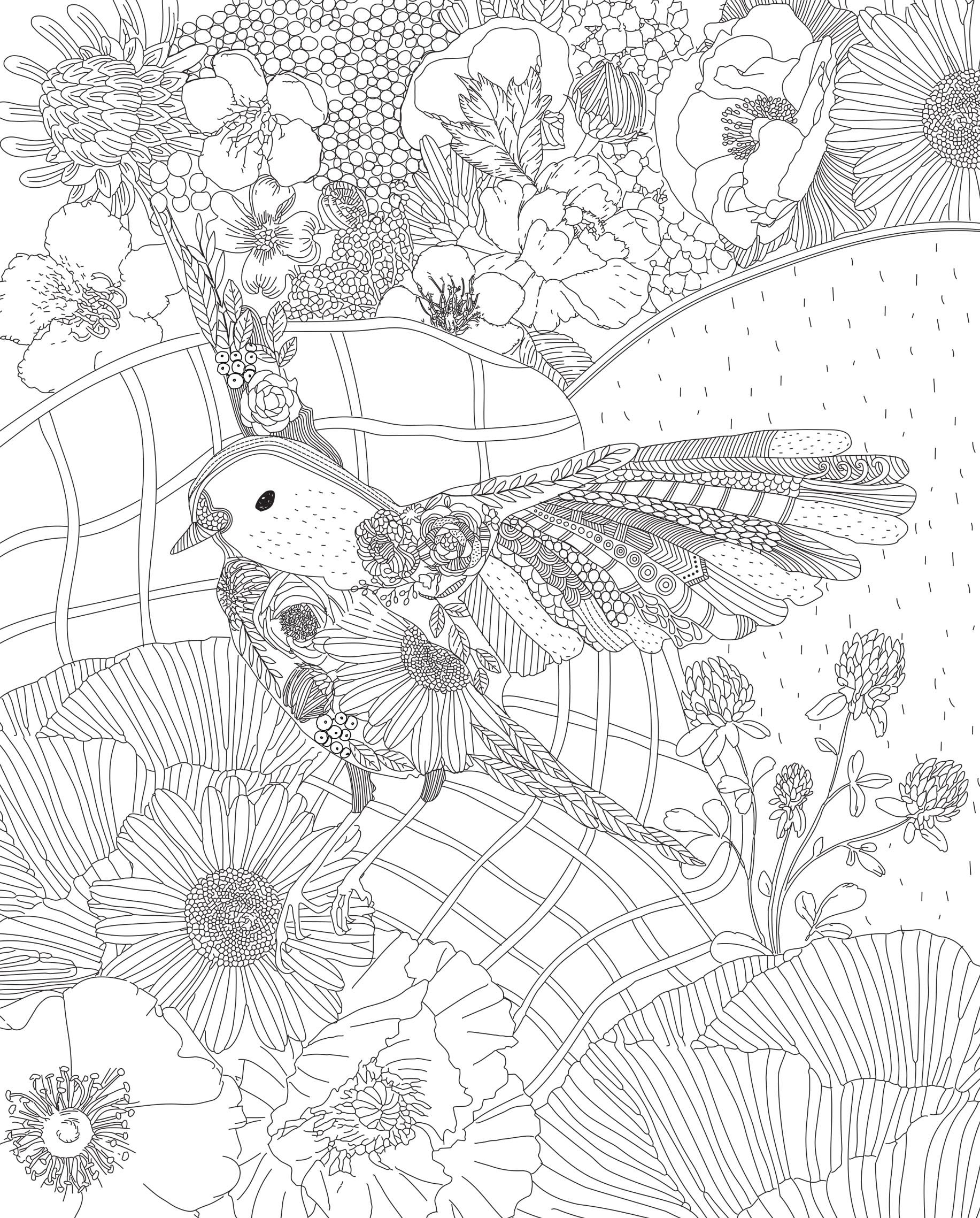 20 Nature Themed Coloring Pages - Etsy