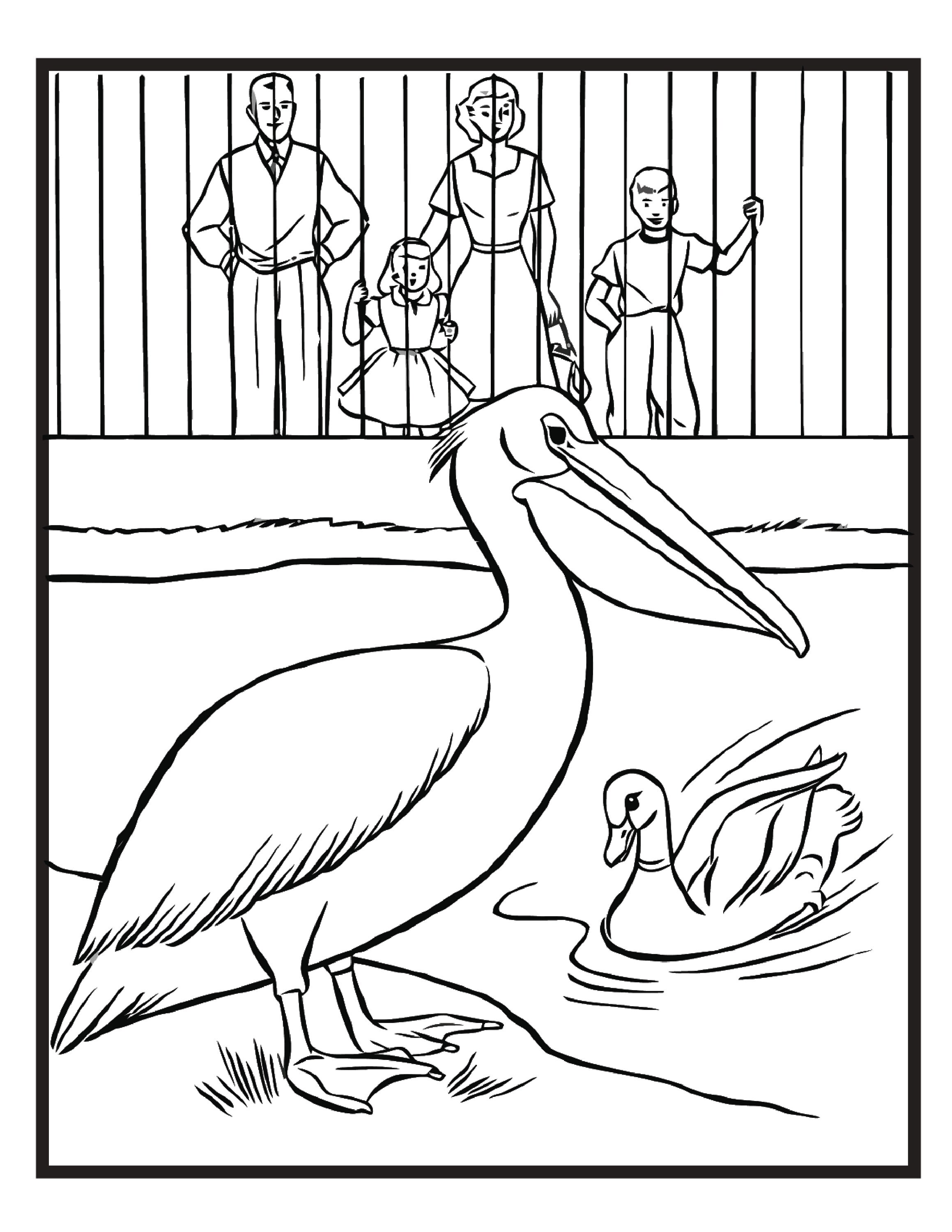 20 Zoo Animal Themed Coloring Pages - Digital Download - Etsy Canada