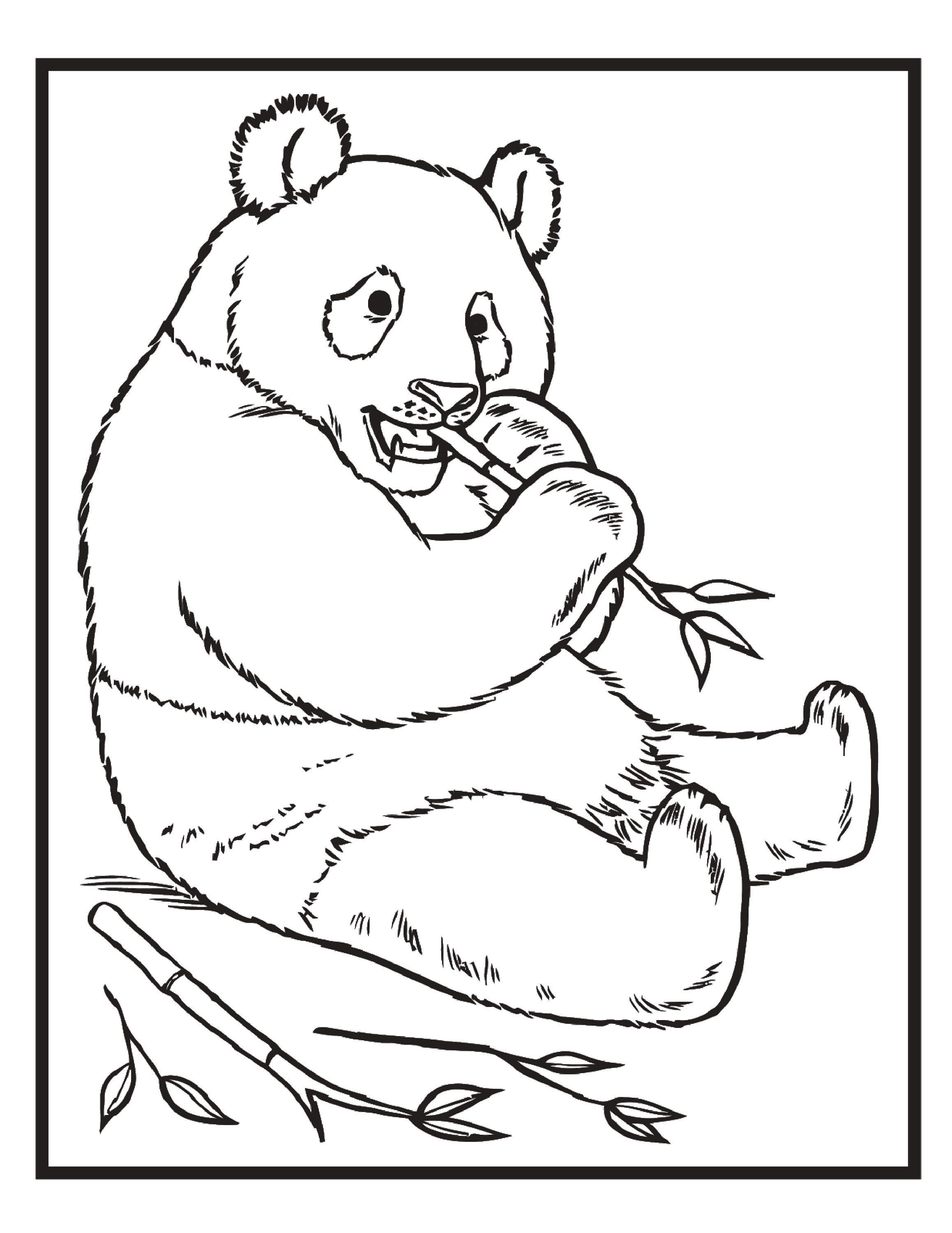 20 Zoo Animal Themed Coloring Pages - Digital Download - Etsy Canada