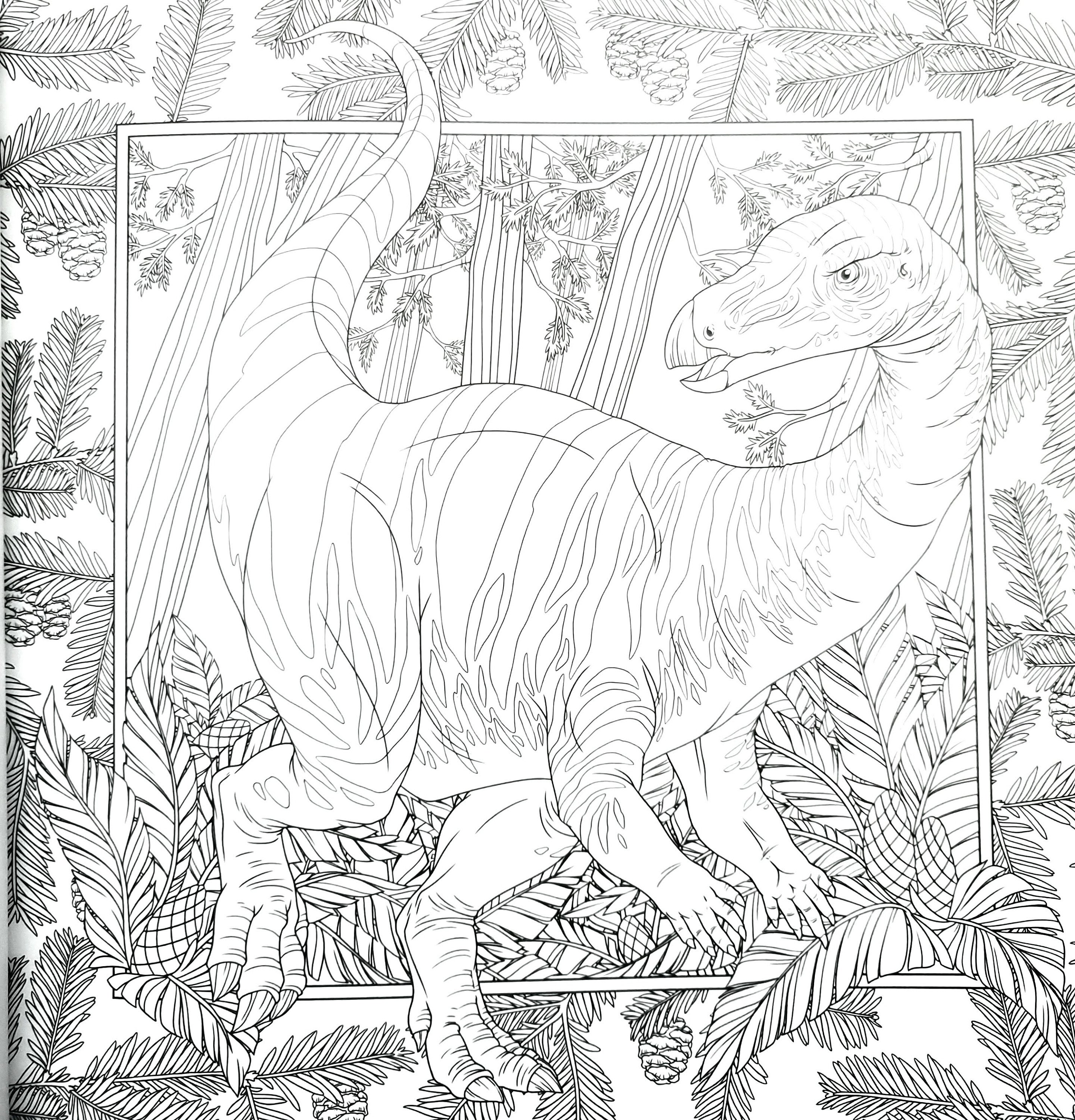 20 Childrens Dinosaur Themed Coloring Pages Pt. 1- Digital Download - Etsy