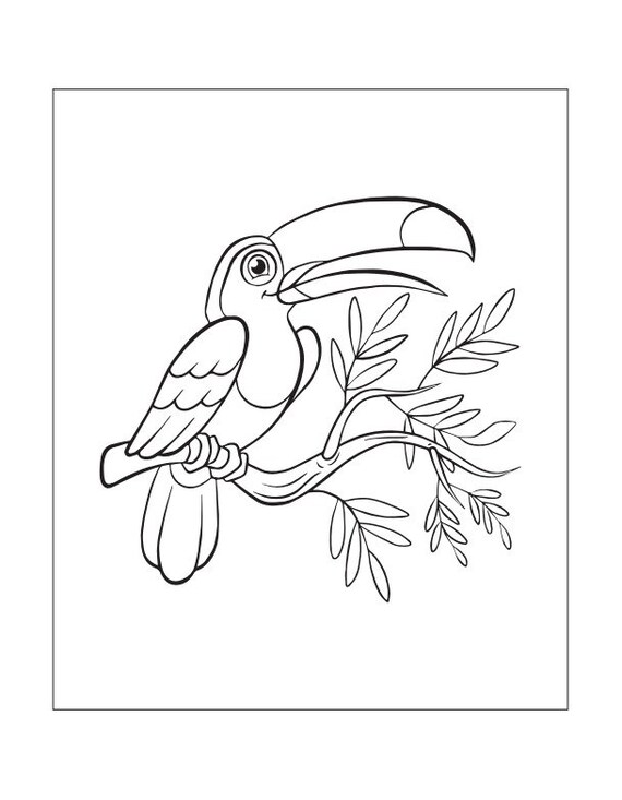 20 Bird-themed Coloring Pages | Etsy