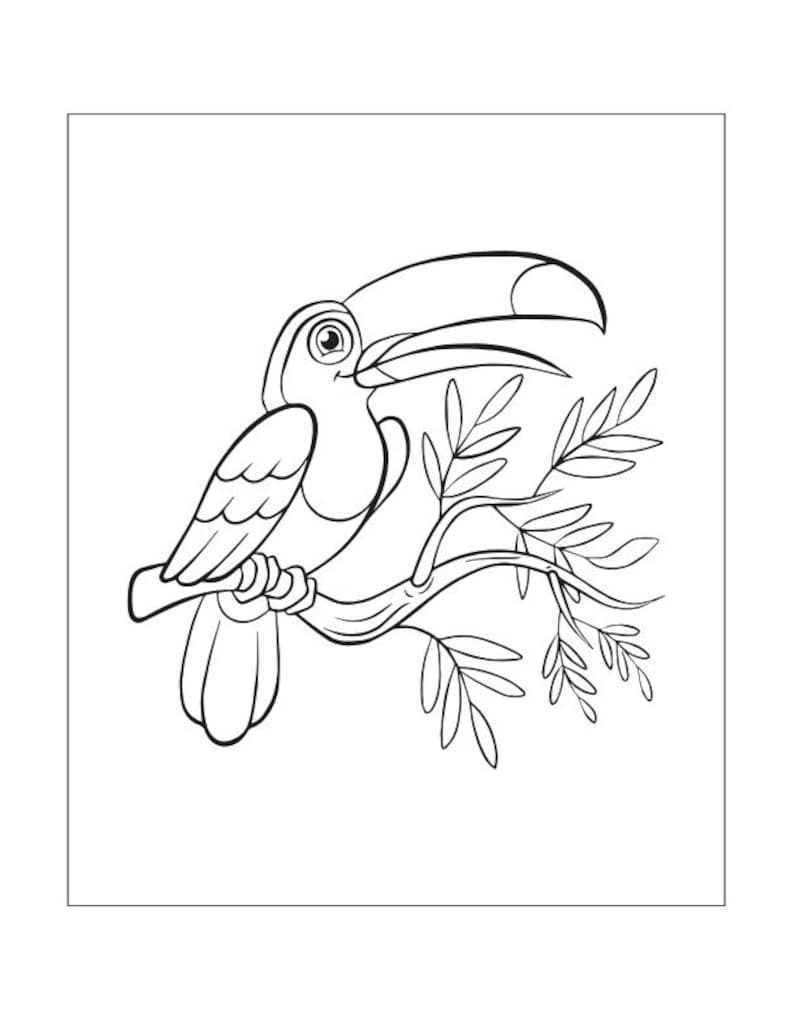 20 Bird-themed Coloring Pages - Etsy