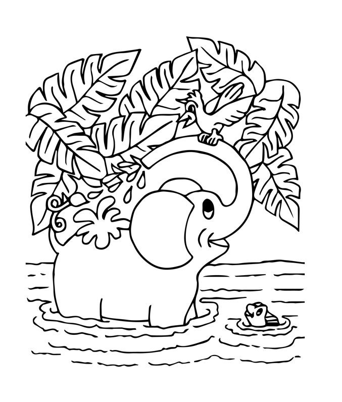 20 Elephant Themed Coloring Pages - Digital Download - Etsy