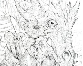 10 Turtle Themed Coloring Pages - Digital Download - Etsy