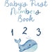 Baby's First Numbers Book Blues - Etsy