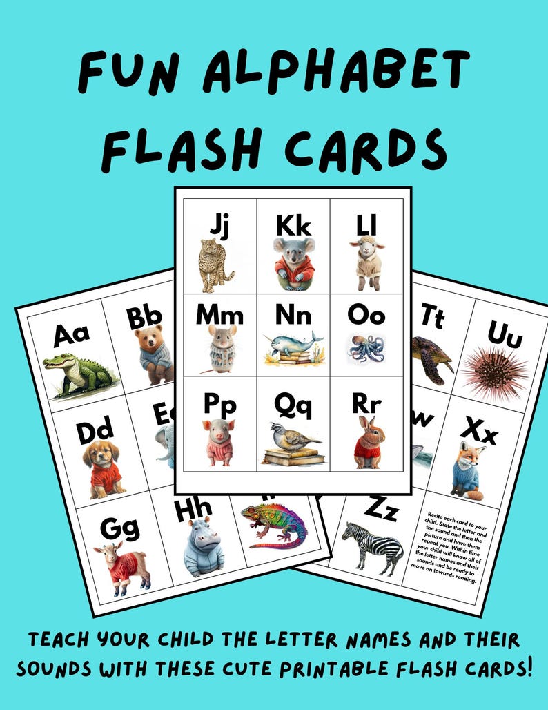 Phonics Flash Cards Featuring Upper and Lower Case With Animals to ...