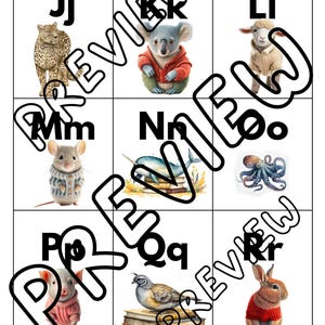 Phonics Flash Cards Featuring Upper and Lower Case With Animals to ...