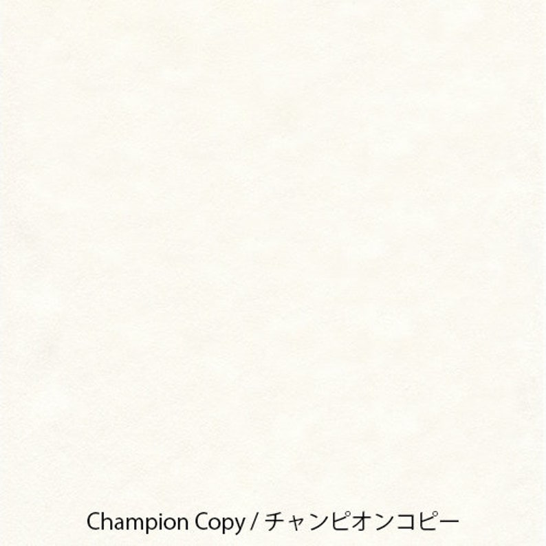 Champion Copy 35gsm A4 50sheets - Etsy