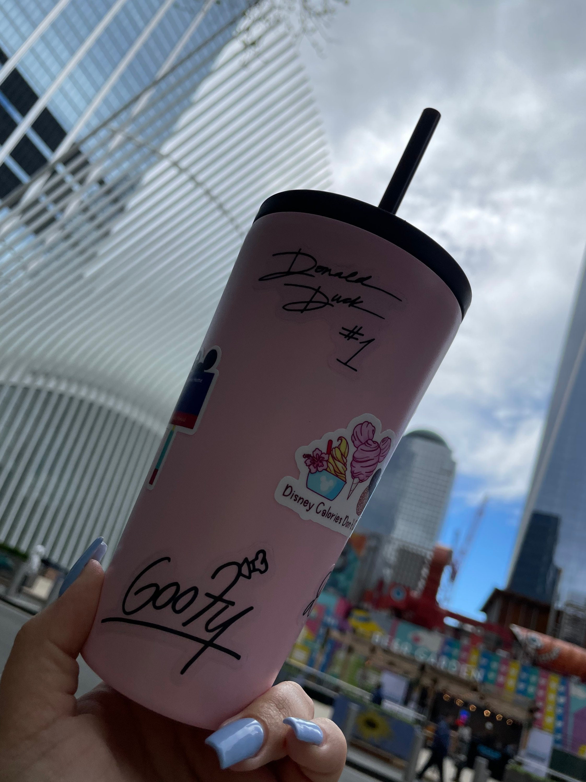 Disney Autograph Stickers Transparent - Etsy UK