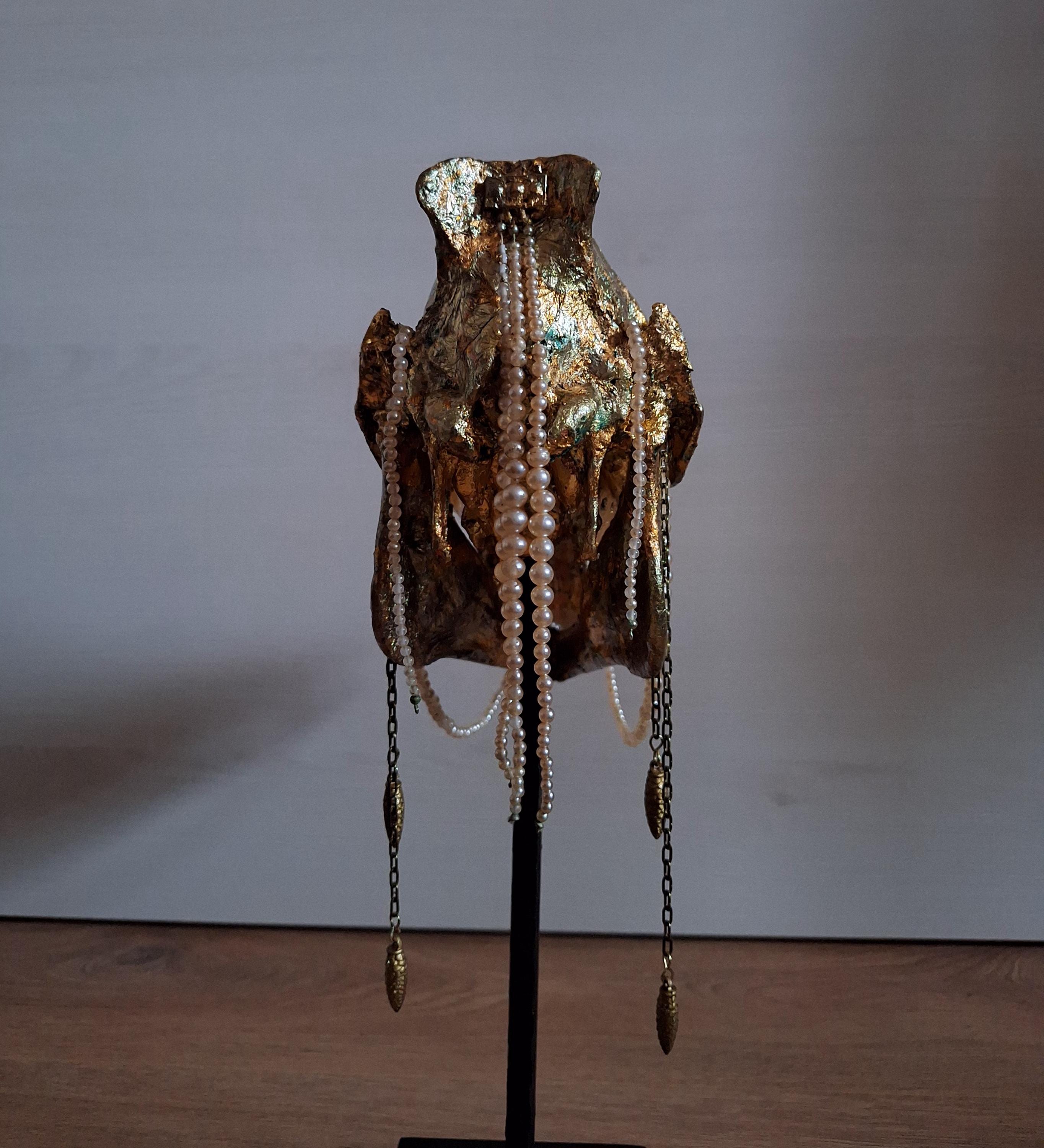 Modified Wild Boar Skull Taxidermy Steampunk Fantasy Animal Skull Skull ...