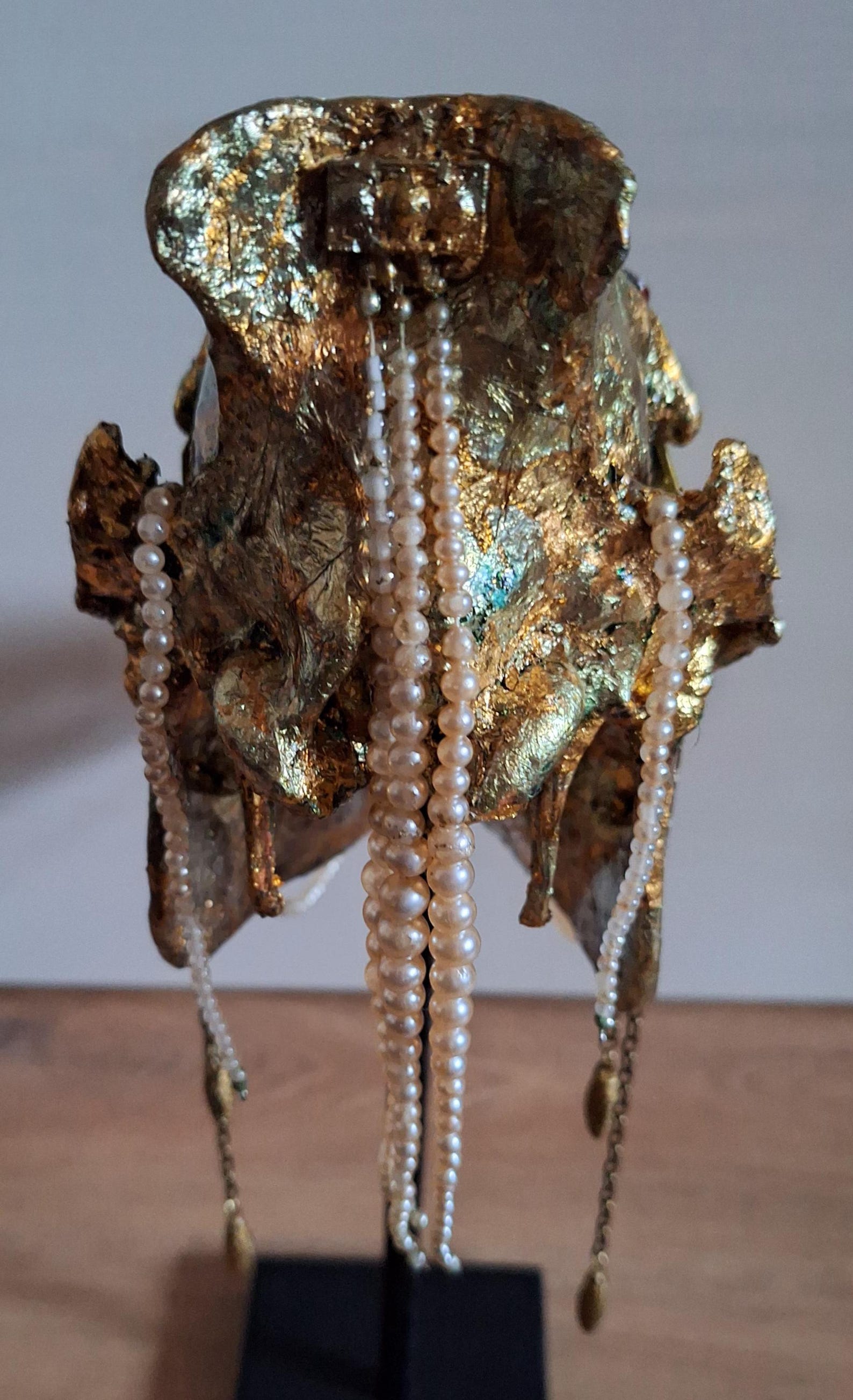 Modified Wild Boar Skull Taxidermy Steampunk Fantasy Animal Skull Skull ...