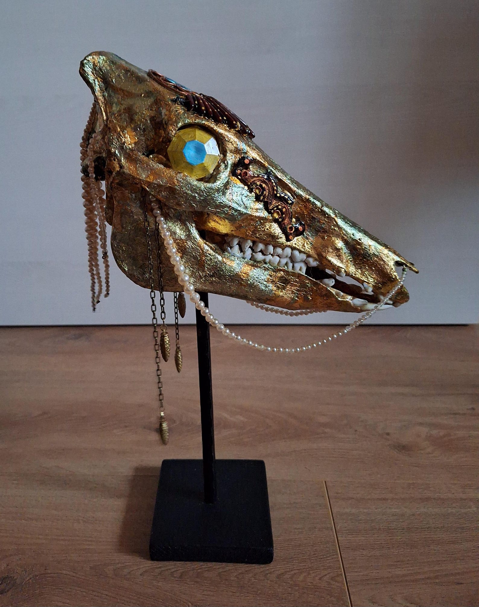 Modified Wild Boar Skull Taxidermy Steampunk Fantasy Animal Skull Skull ...