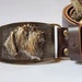 Pegasus Horse Wing Mythology Creature Fantasy Mythological Magical ...