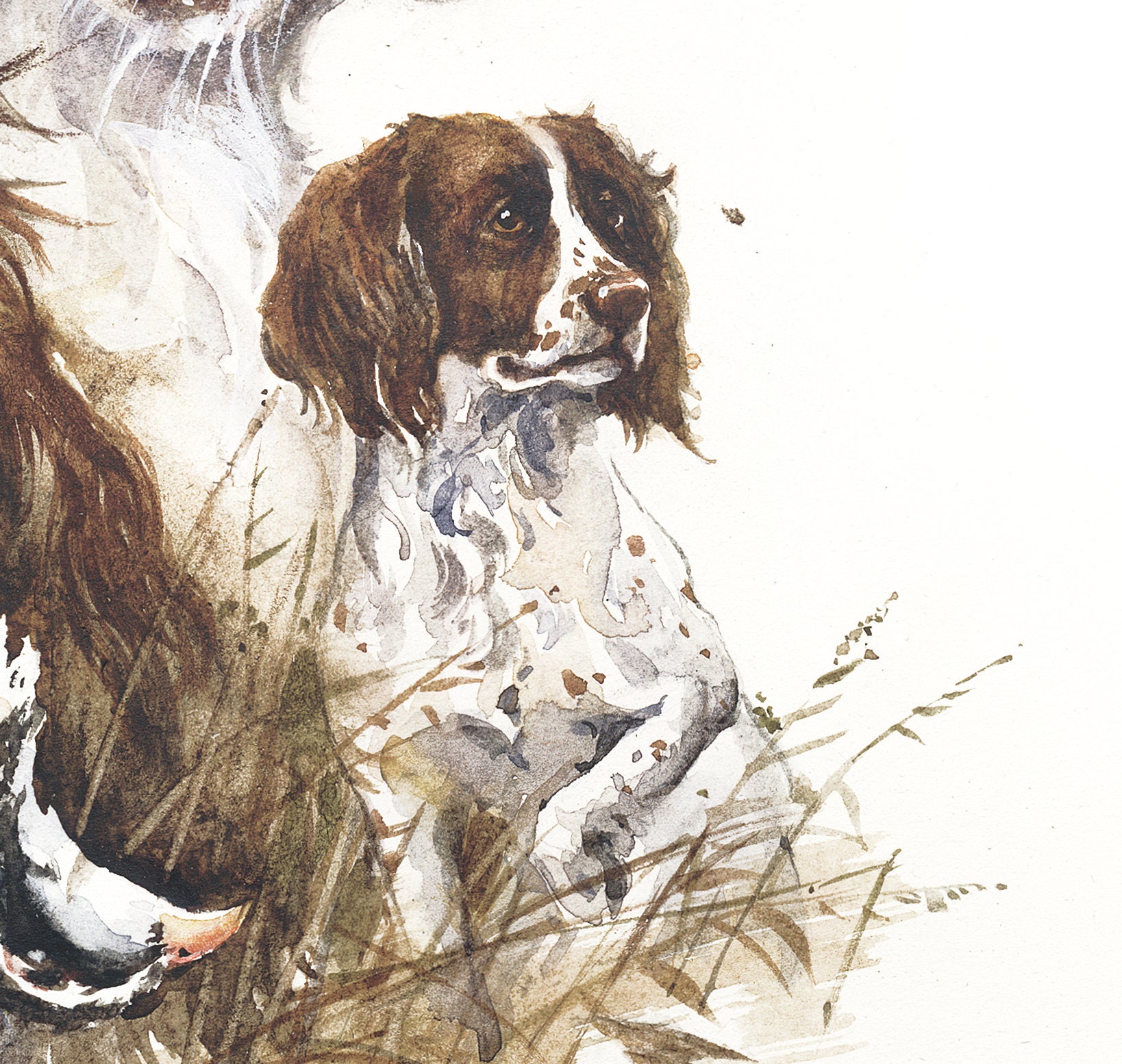 Hunting With English Springer Spaniel Signed Print | Etsy