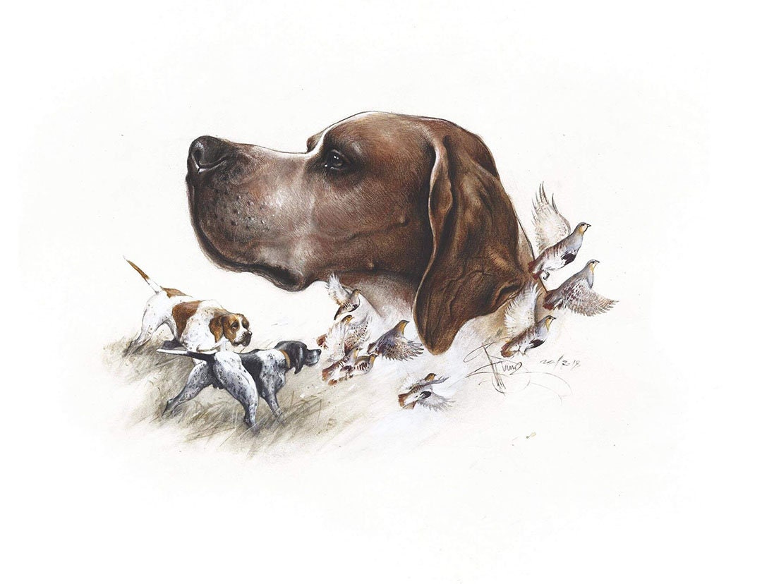 English Pointer Watercolor Print: "king of the Fields" Dog Art - Etsy