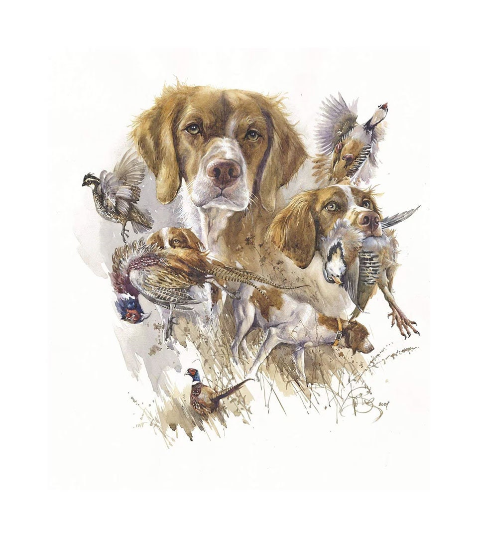 Brittany. Bird Hunting Watercolor Print by Valery - Etsy