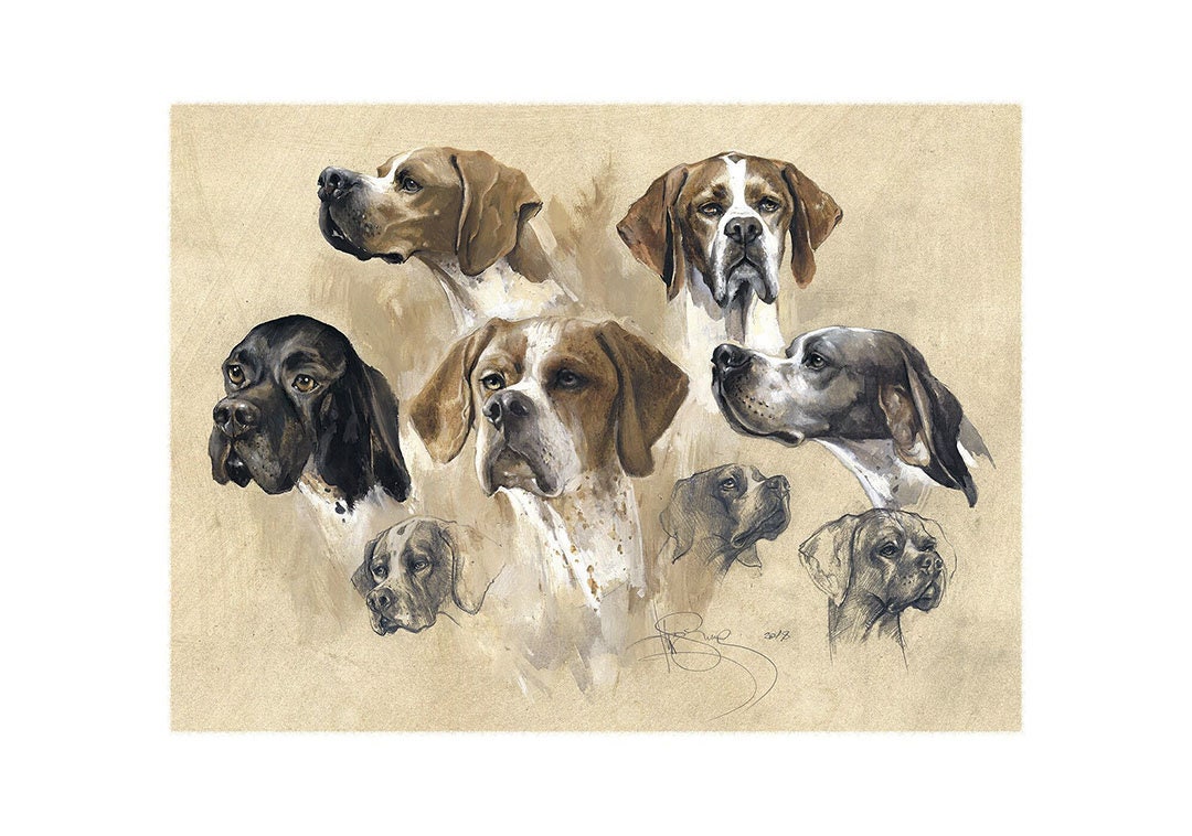 Pointer Breed Variety Print by Valery Siurha, English Pointer Art, Dog ...
