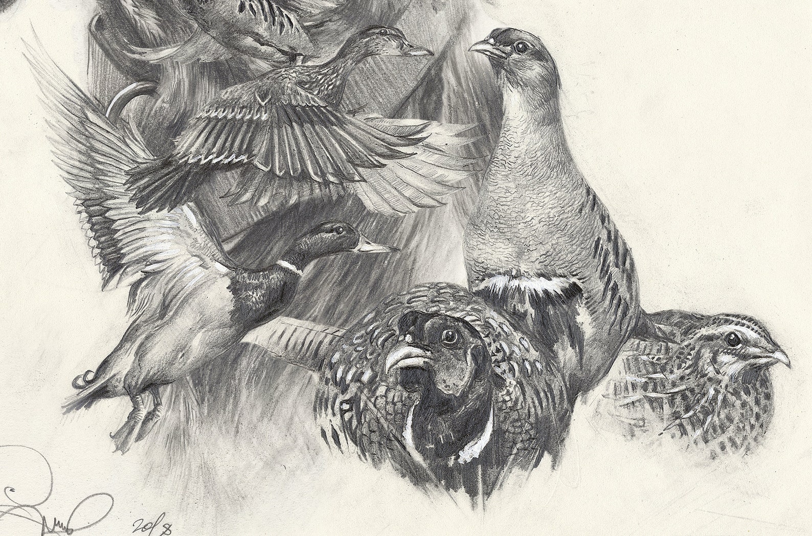 German Shorthair Pointer Portrait Print Pointer Art German - Etsy