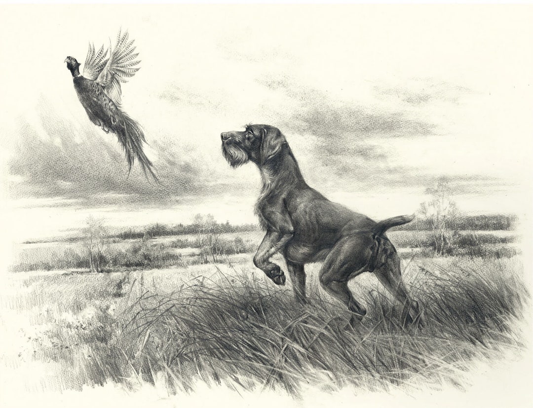 Pheasant Hunting GWP Author's Signed Print Giclee by Valery Siurha ...