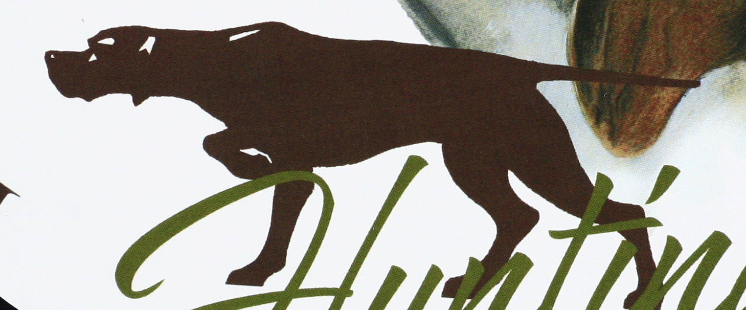 Hunting dog decal English pointer Decal Dog | Etsy