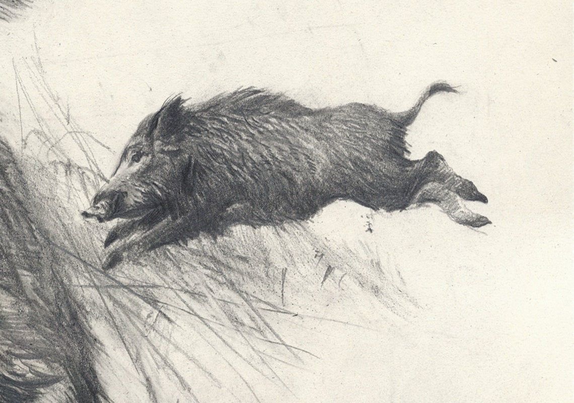 Wildschwein Jagd Grafik Zeichnung signierter Autor - Etsy.de